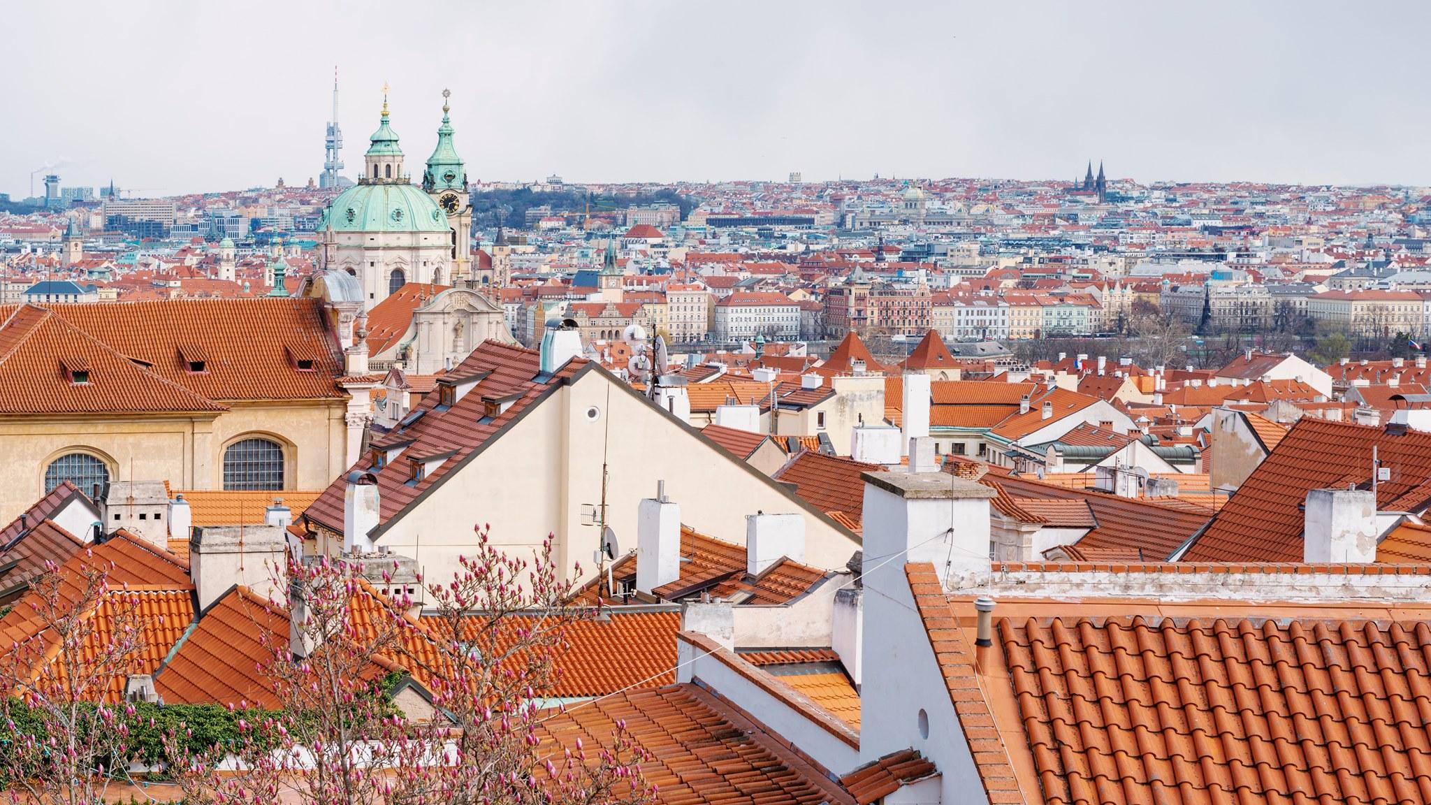 N.U.in Czech Republic | Northeastern - N.U. in